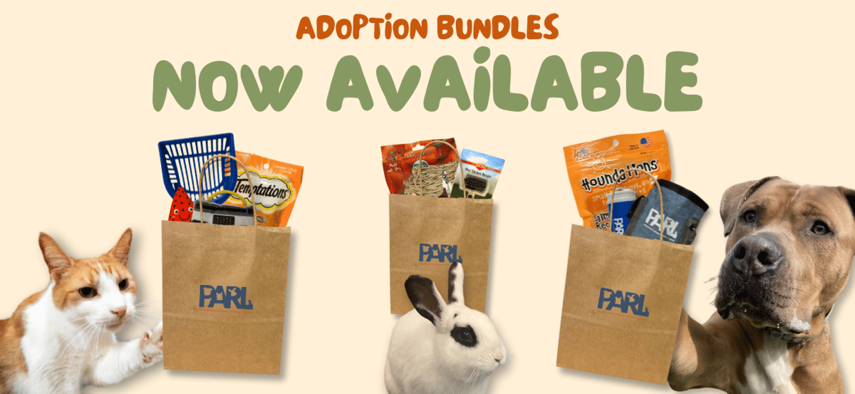 Providence Animal Rescue League | Rhode Island Animal Shelter